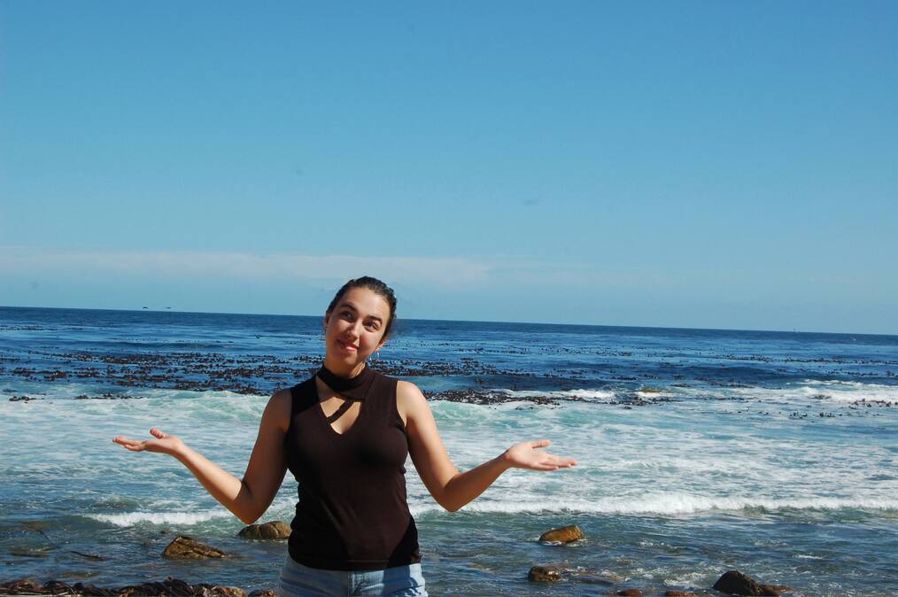 Gap Year Internship Program in Cape Town with VACorps | Go Overseas